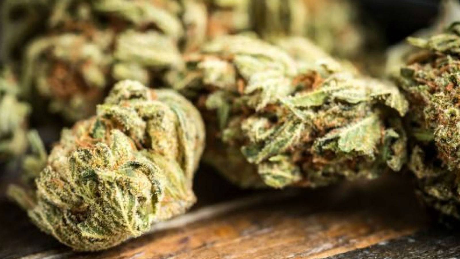 Study Shows That Parents Who Smoke Marijuana Are Harsher Disciplinarians