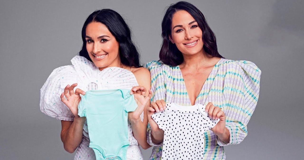Nikki Bella Shares New Baby Bump Pic On Instagram