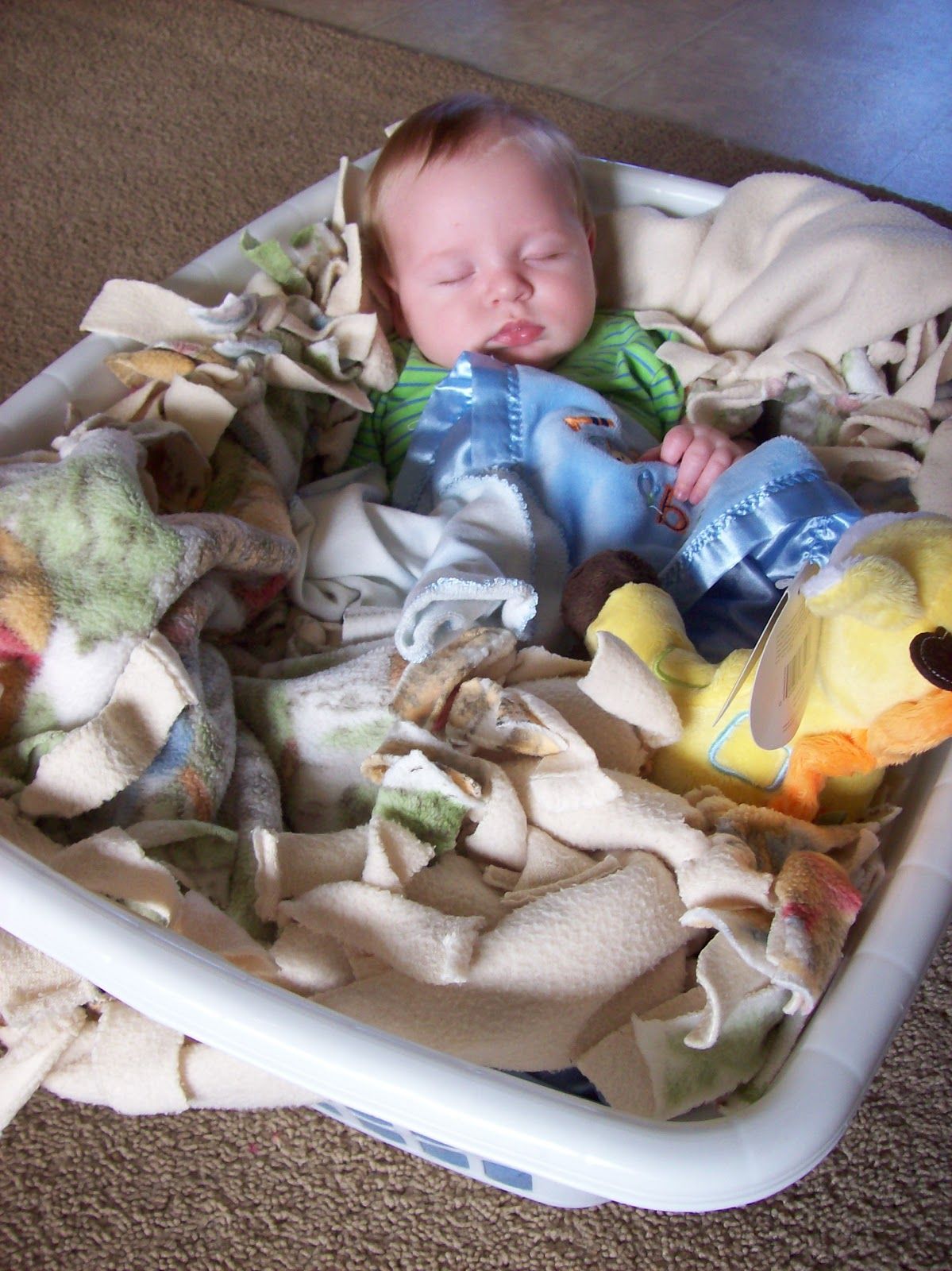 Best Baby Detergents (Updated 2020)