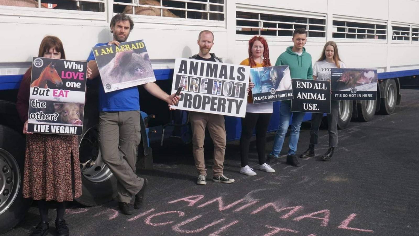 New Mom Risks It All To 'Liberate Animals' From Inhumane Farms