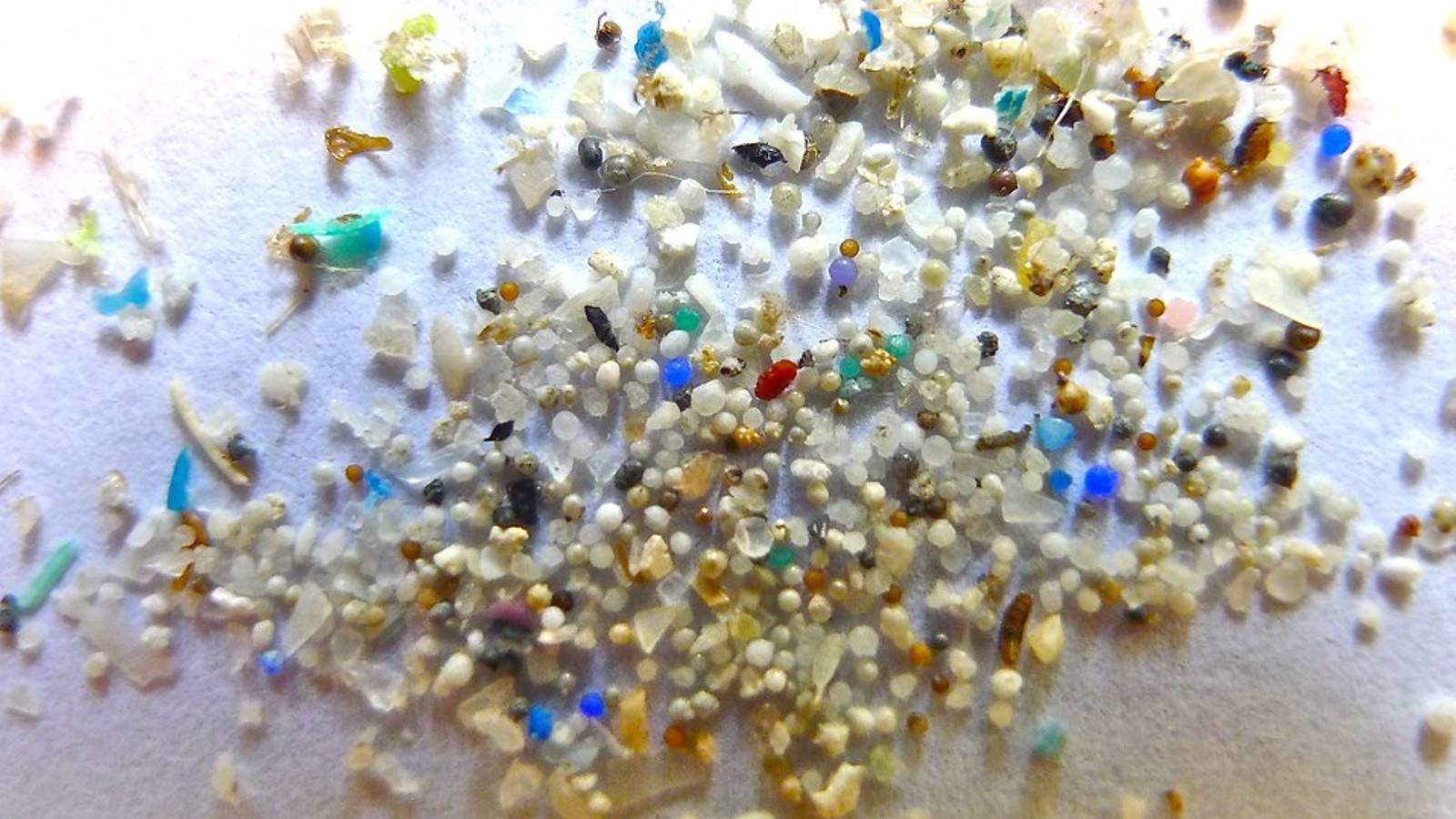 Microplastic Found In Baby Poop