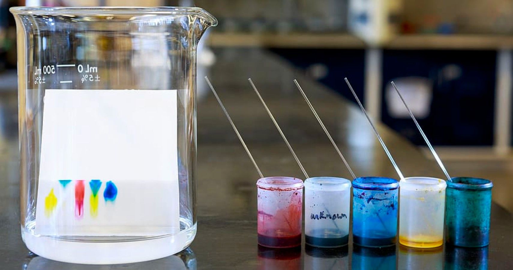 Science Projects For Toddlers