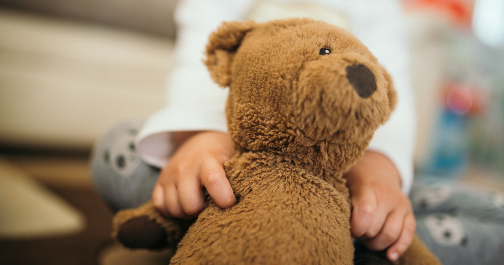 Properly Clean A Teddy Bear