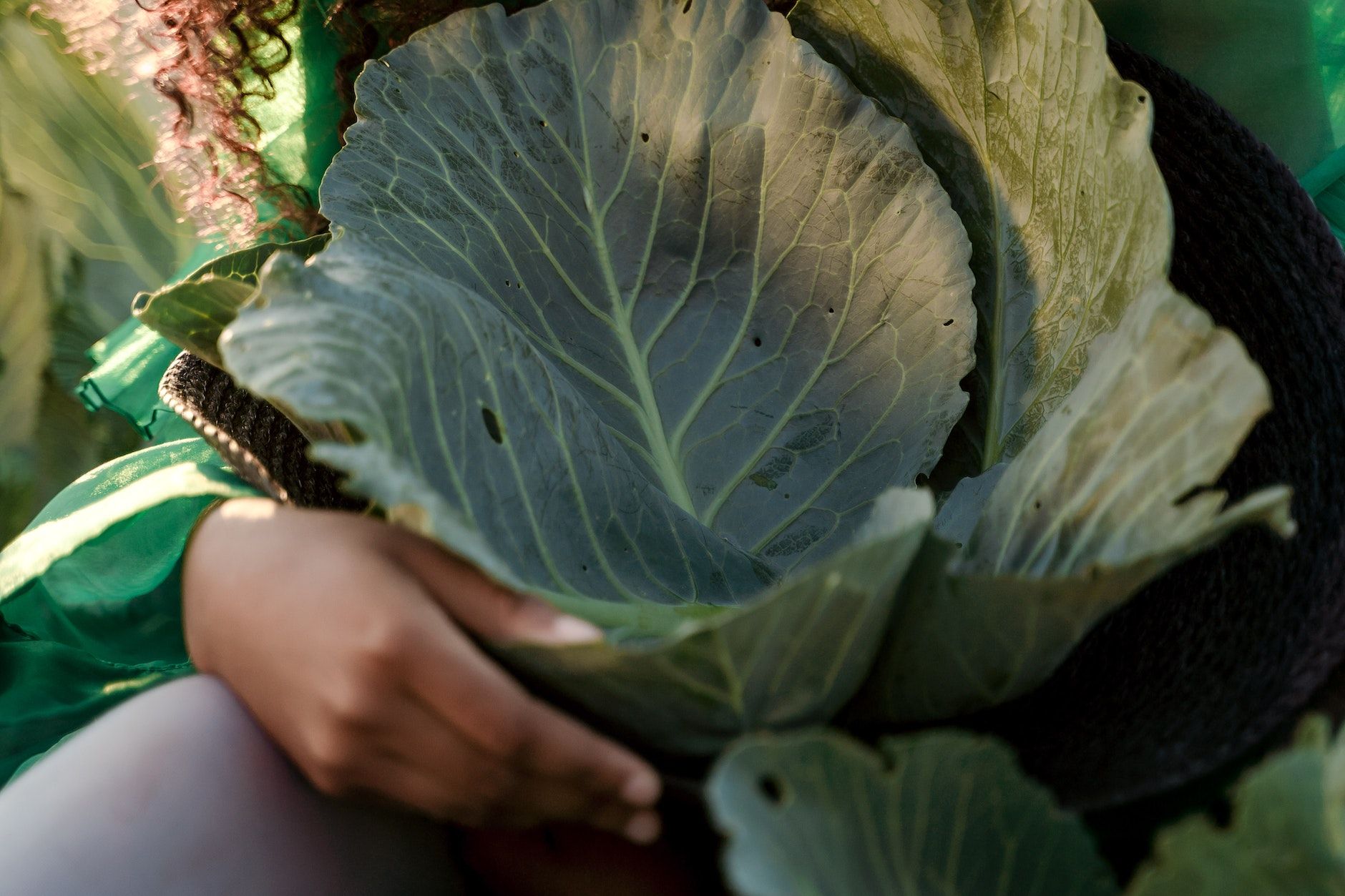 Ways Moms Can Treat Mastitis At Home