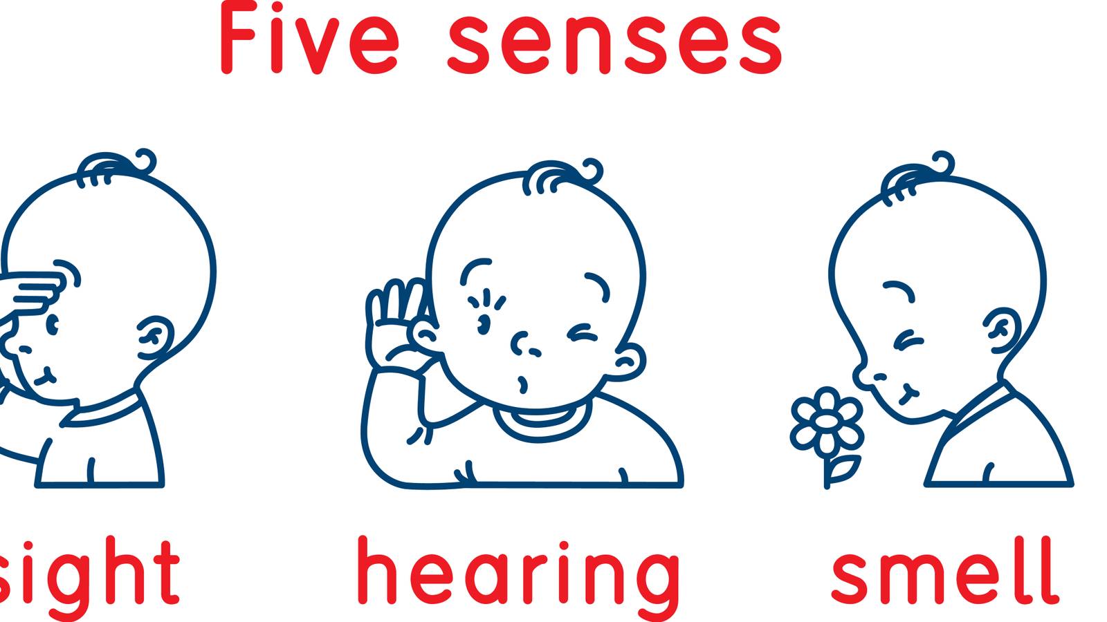 Everything You Need To Know About Baby's Five Senses