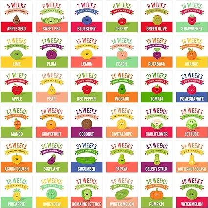 Best Pregnancy Milestone Cards And Stickers