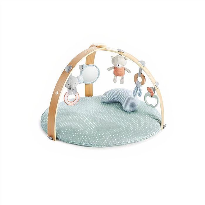 The Best Activity Mats & Play Gyms For Babies